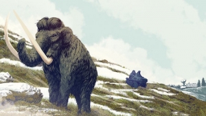 Could Reviving the Woolly Mammoth Help Solve Climate Change? — LONG NOW ...