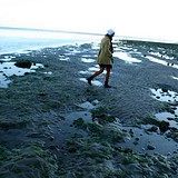 Robin Ward - Long Now